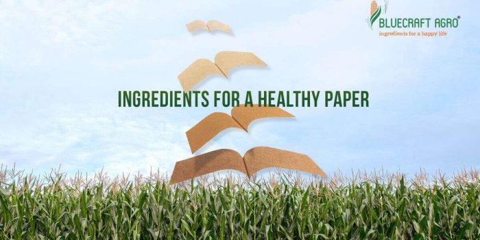 Starch: An integral component in the paper industry - BAPL