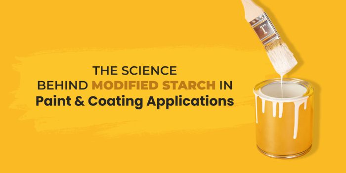 The Science Behind Modified Starch in Paint and Coating Applications - BAPL