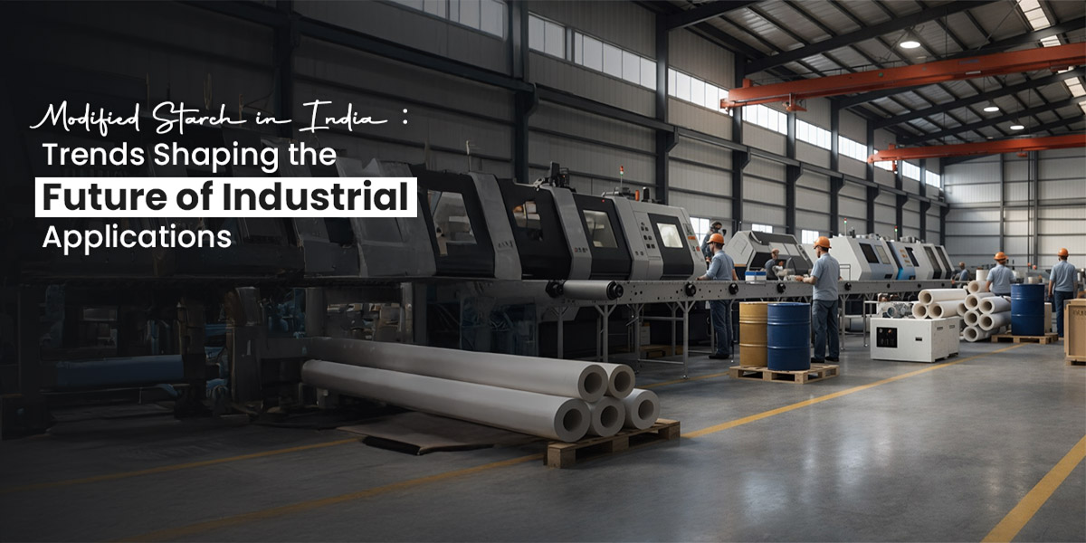 Modified Starch in India: Industrial Trends & Applications